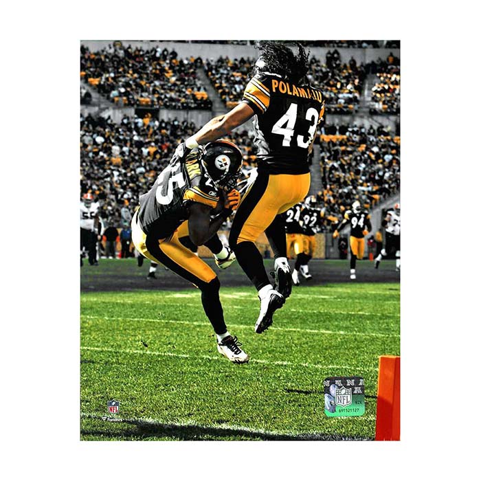 Ryan Clark Interception with Troy Unsigned 8x10 Photo — TSEShop