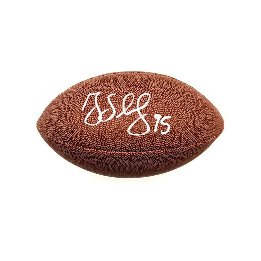 Pittsburgh Steelers Signed Footballs — TSEShop