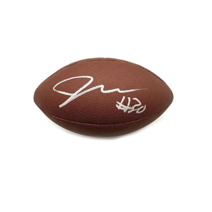Pittsburgh Steelers Signed Footballs — TSEShop