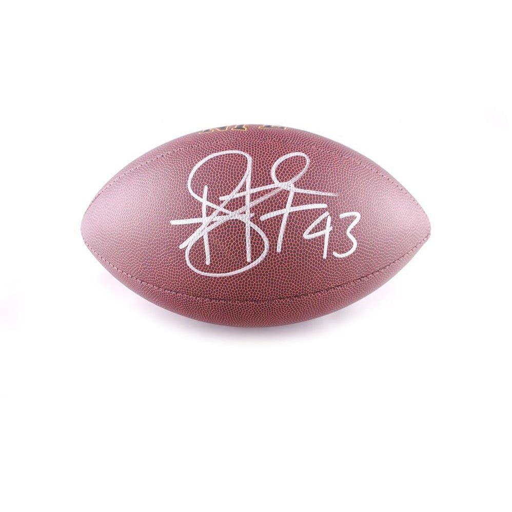 Pittsburgh Steelers Signed Footballs — TSEShop